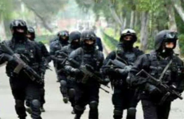 Assam cabinet approves Rs 839.95 cr for five new Commando Battalions ...