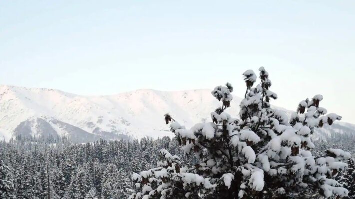 Weather Update: Snowfall in Arunachal, Hailstorms in Assam, Meghalaya ...
